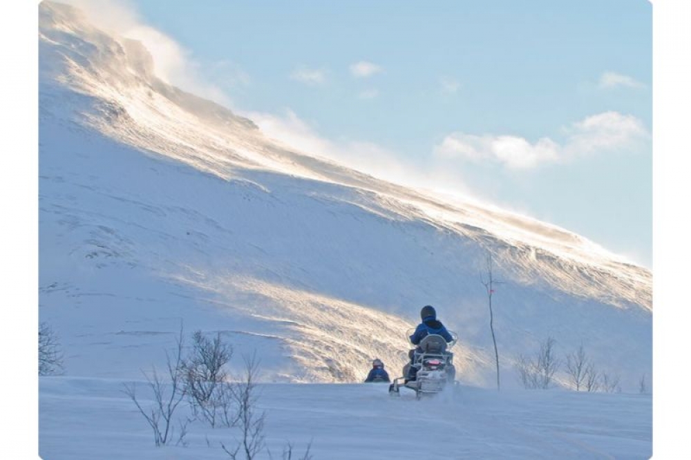 From tromso: Snowmobile Safari & Ice Fishing in Tamok Valley