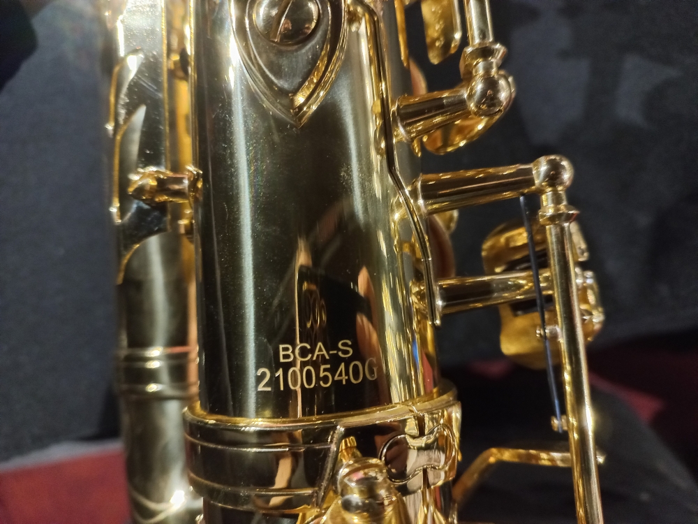 Saxophone Alto Buffet Crampon Série 100 occasion