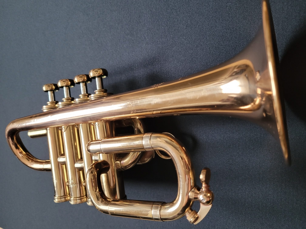 Trompette Sib Selmer Piccolo occasion