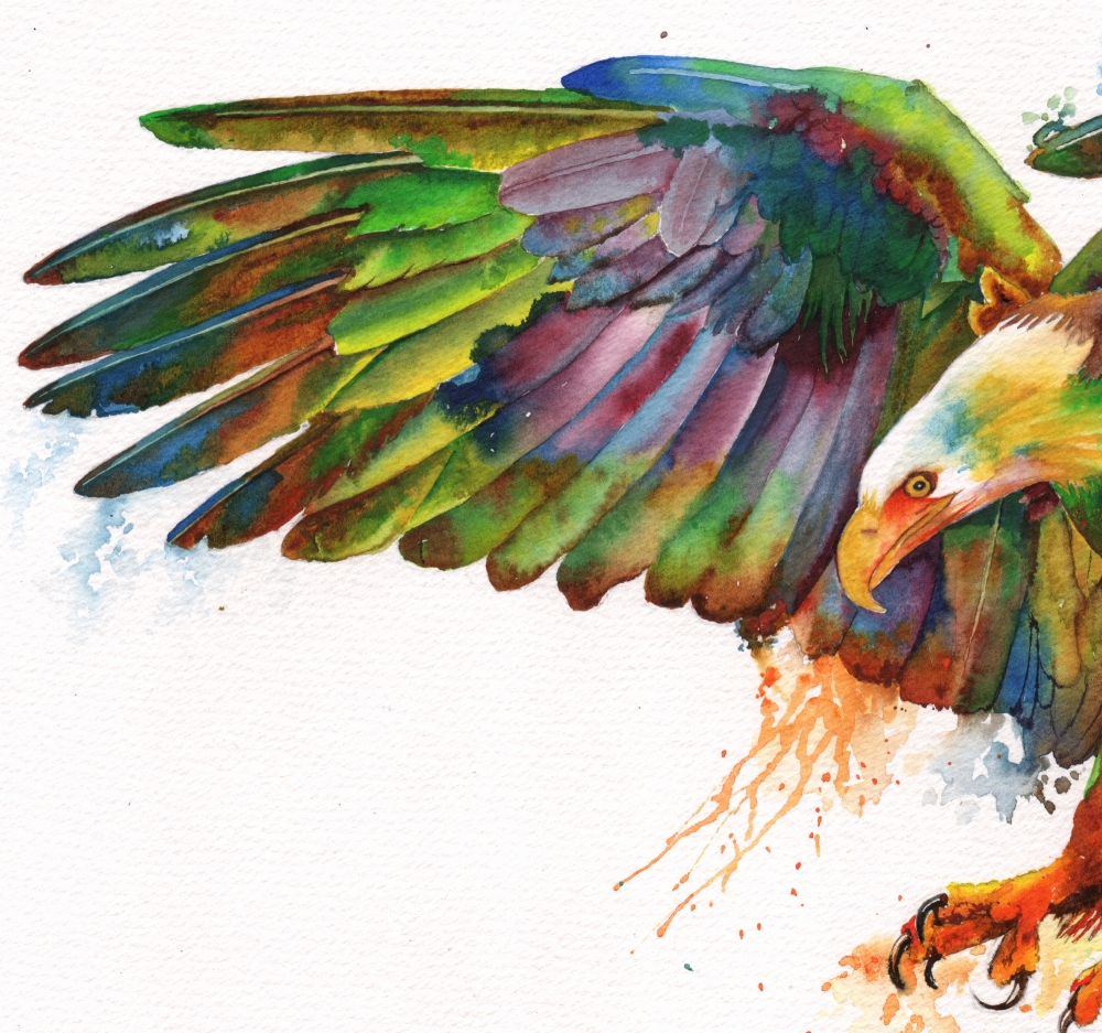 Rainbow Warrior