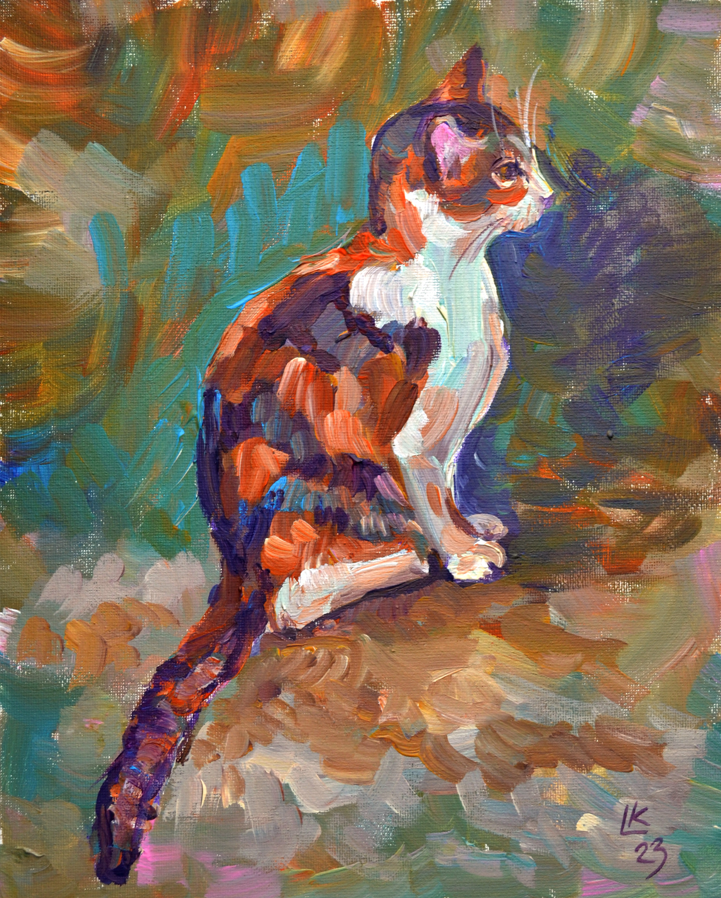 Calico Cat on the street