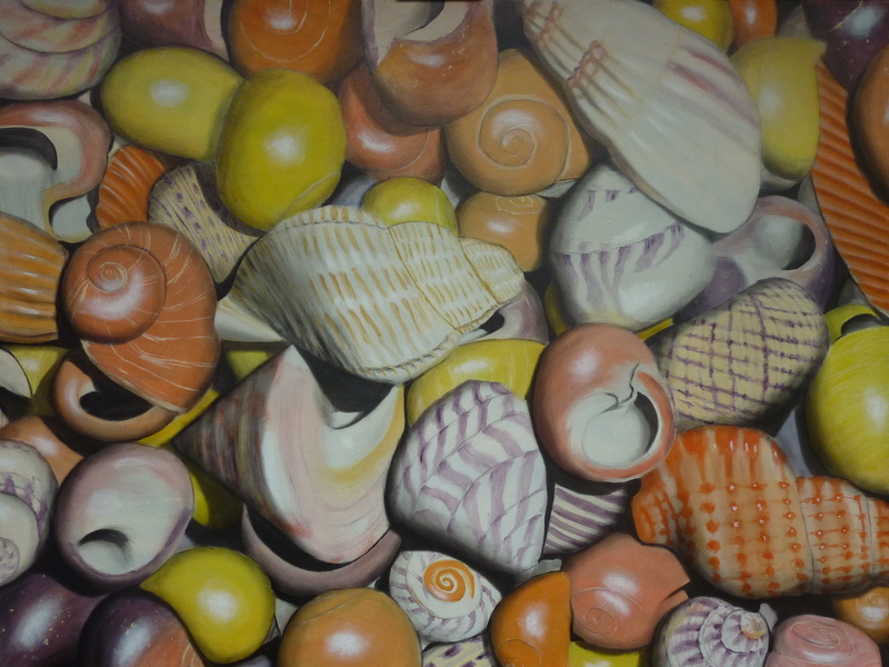 Shell colours