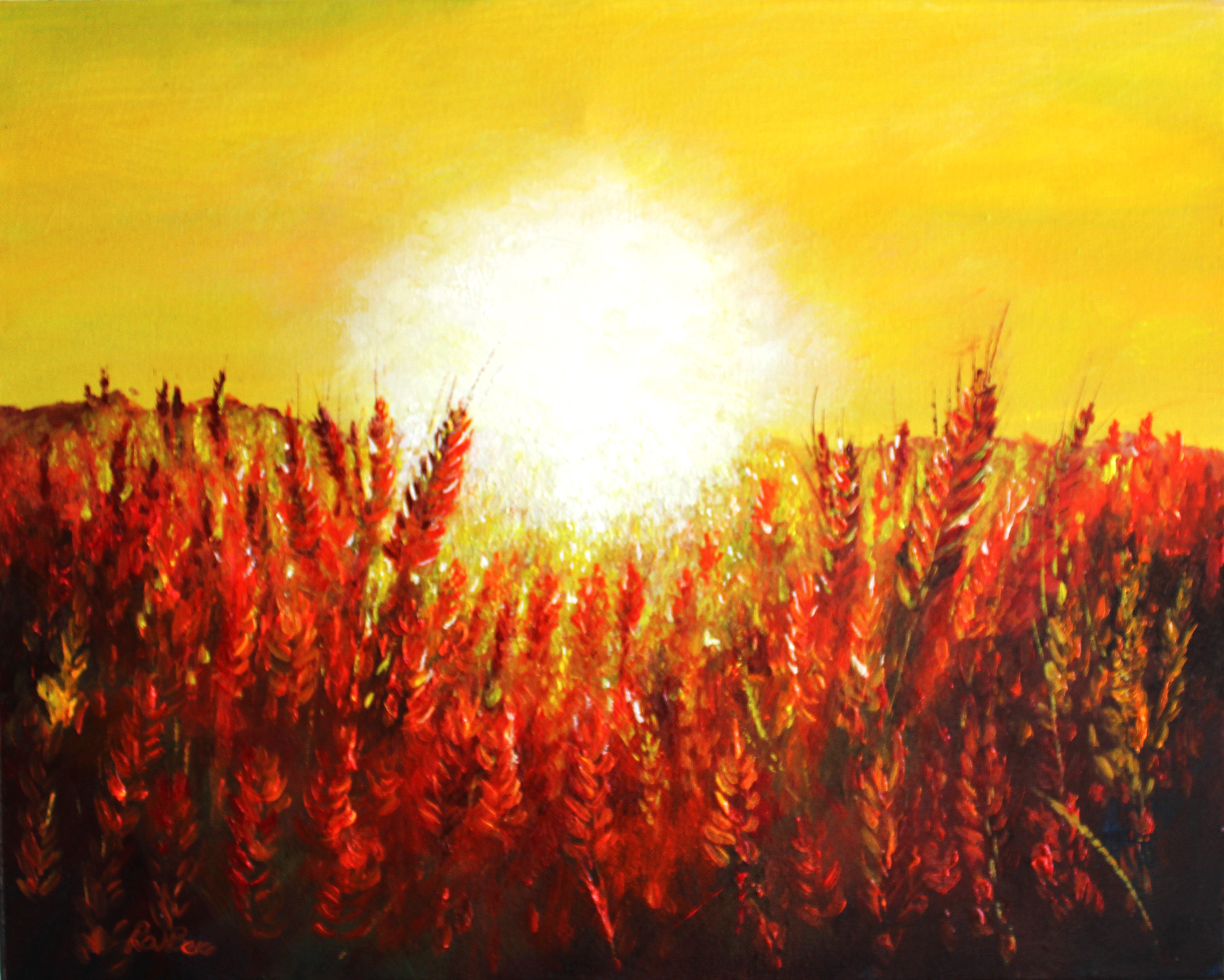 Harvest Sunrise