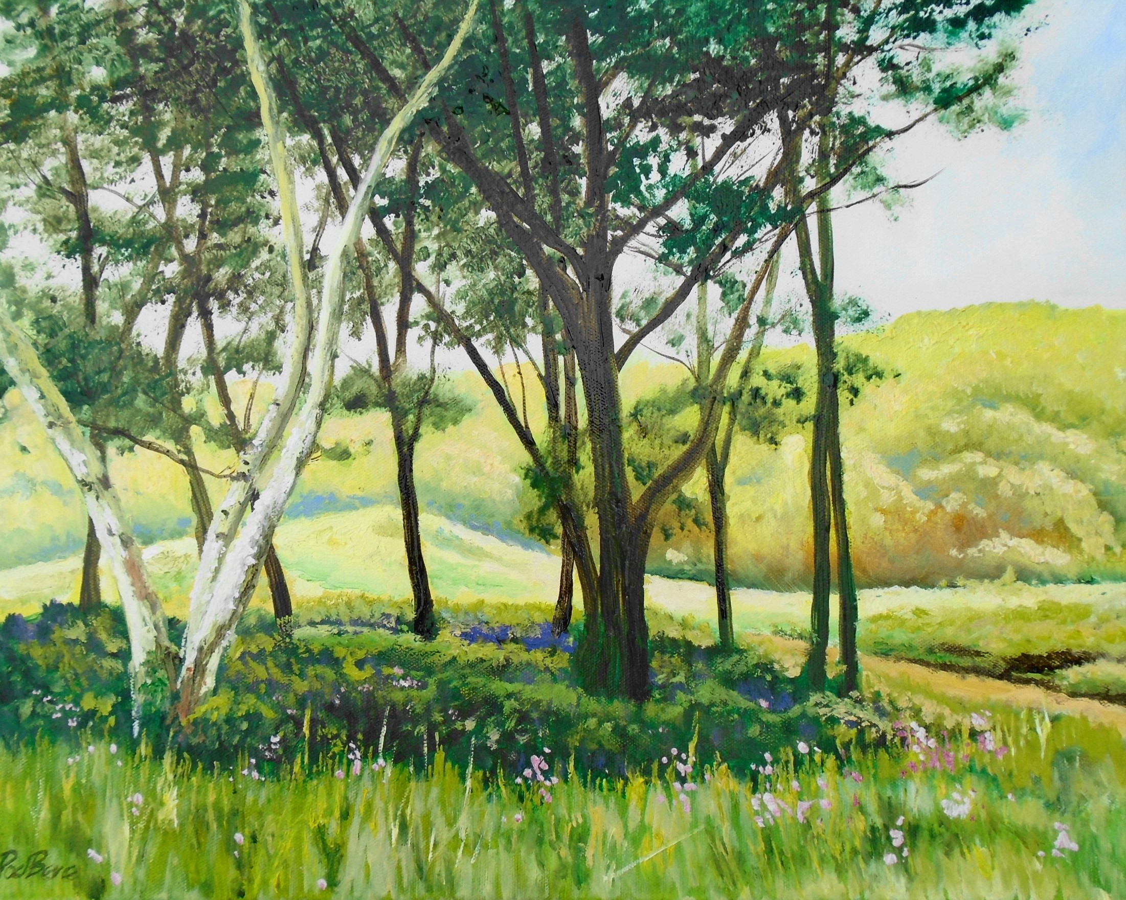 A Shady Spot in Sene Valley