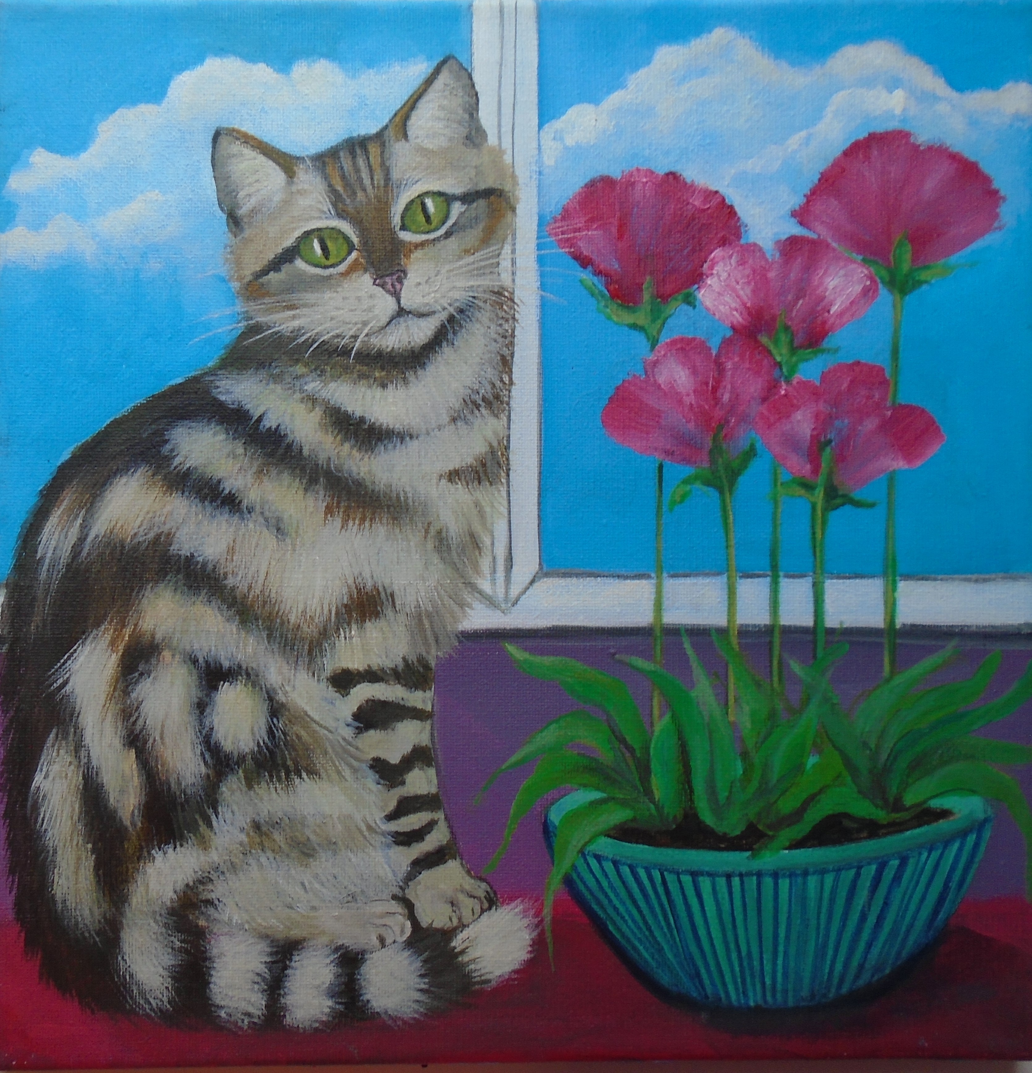 Tabby with pink flowers