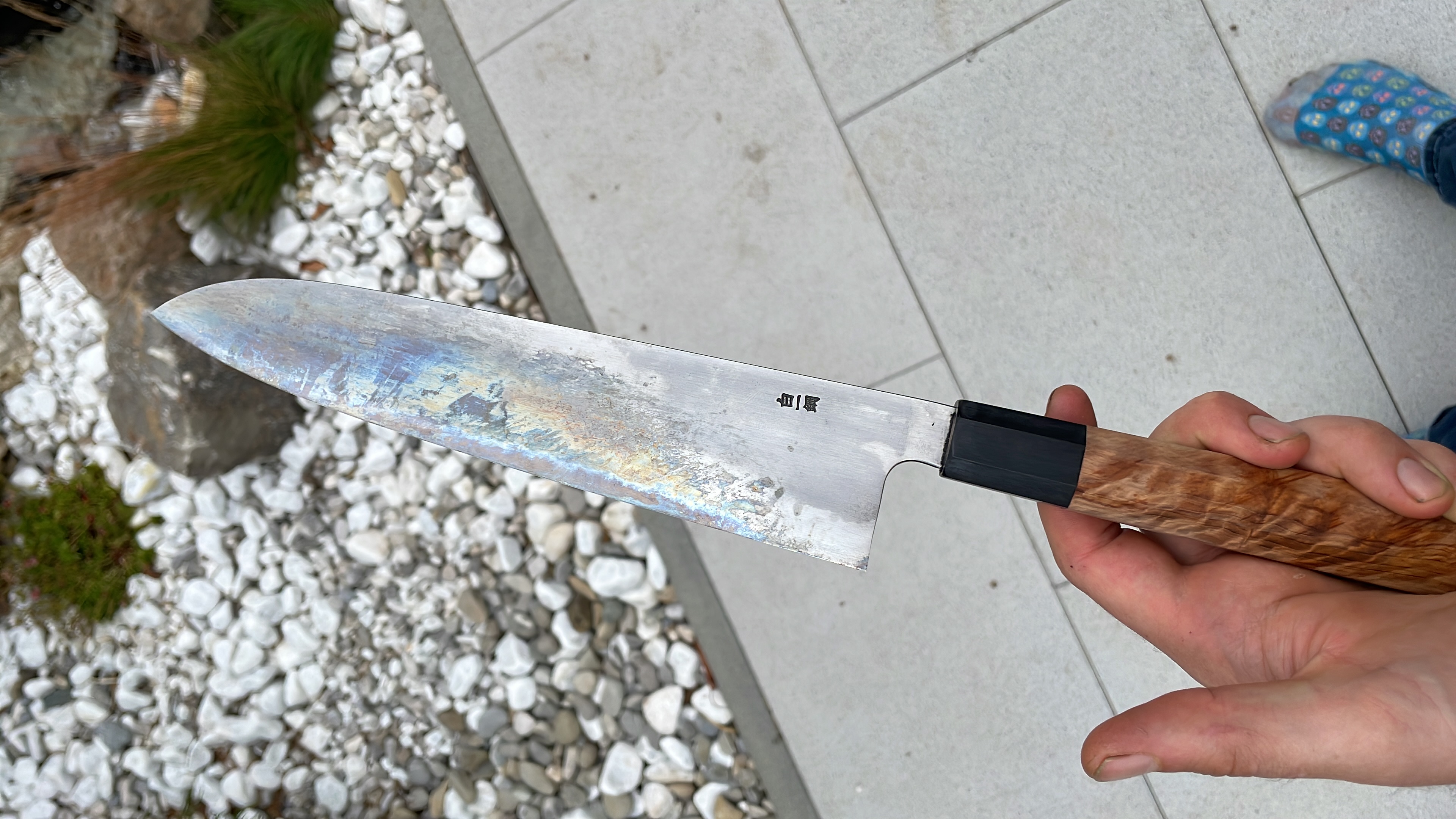 Migoto - Nakagawa x Kawakita Gyuto Shirogami 1 core soft iron clad