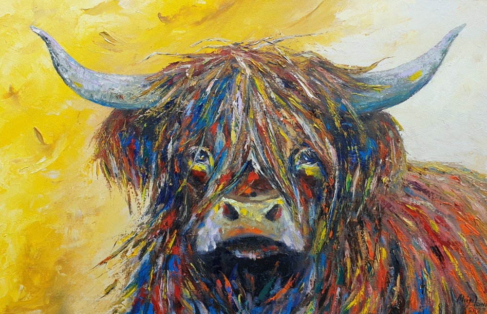 11_highland_cow.jpg