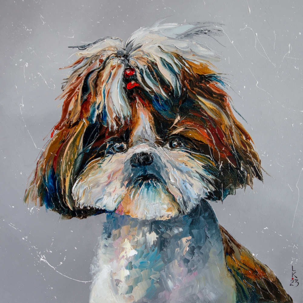 13a_shih_tzu.jpg